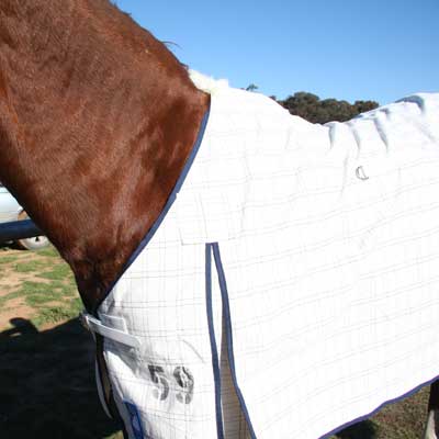 Shoulder Gussets or Not?
