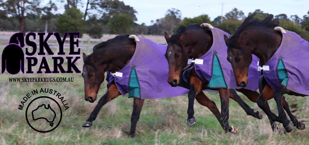 Skye Park Rugs | Australia's Home of Horse Rugs, Blankets and Accessories