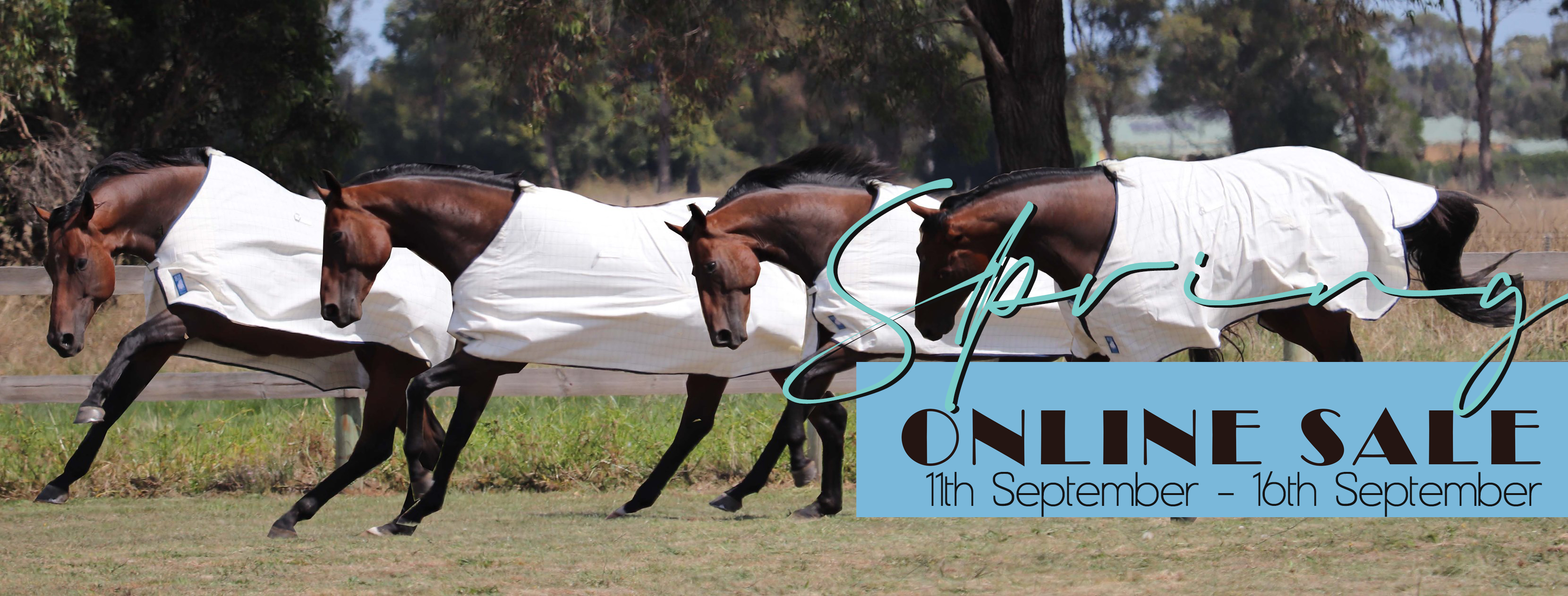 Skye Park Rugs | Australia's Home of Horse Rugs, Blankets and Accessories