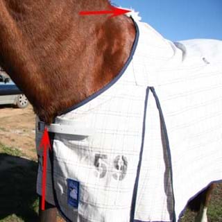 Shoulder Gussets or Not?