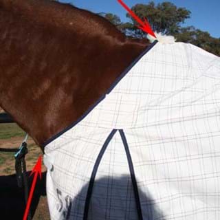 Shoulder Gussets or Not?