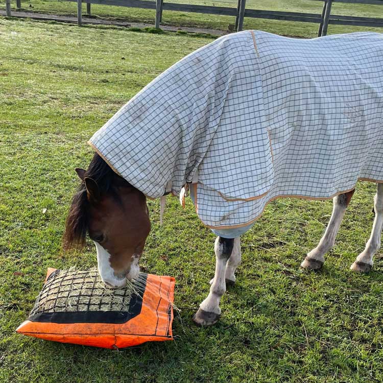 Skye Park Rugs | Australia's Home of Horse Rugs, Blankets and Accessories