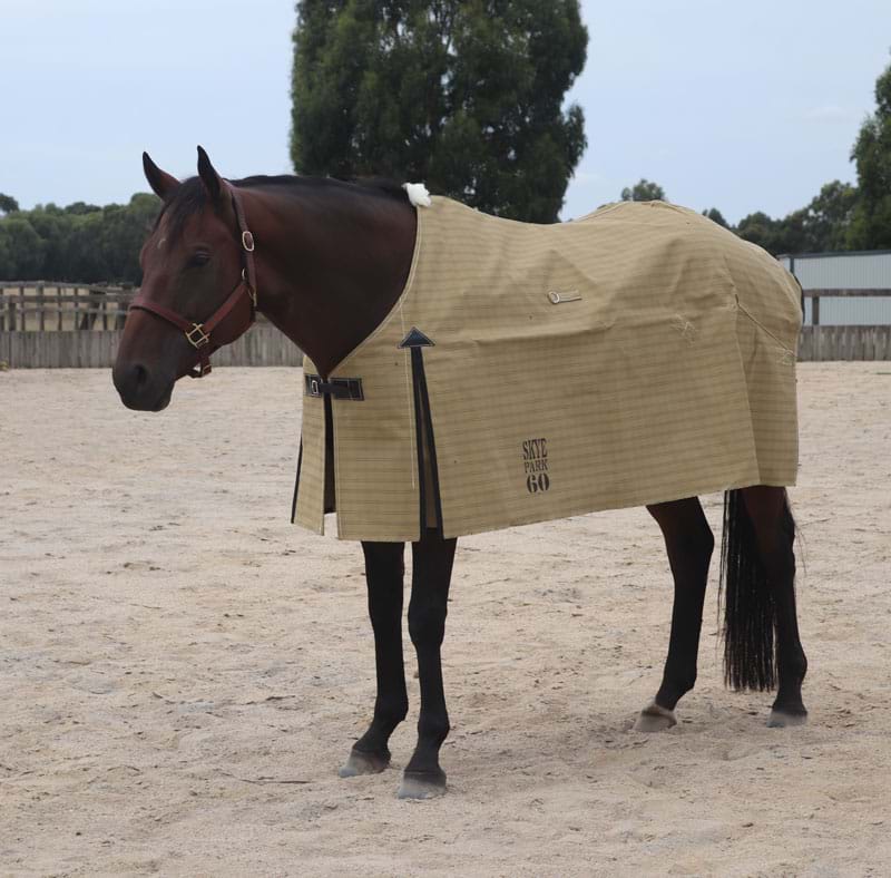 Sahara Unlined Canvas